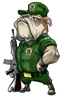 FUZIL IA2 - CASERNA BRASIL